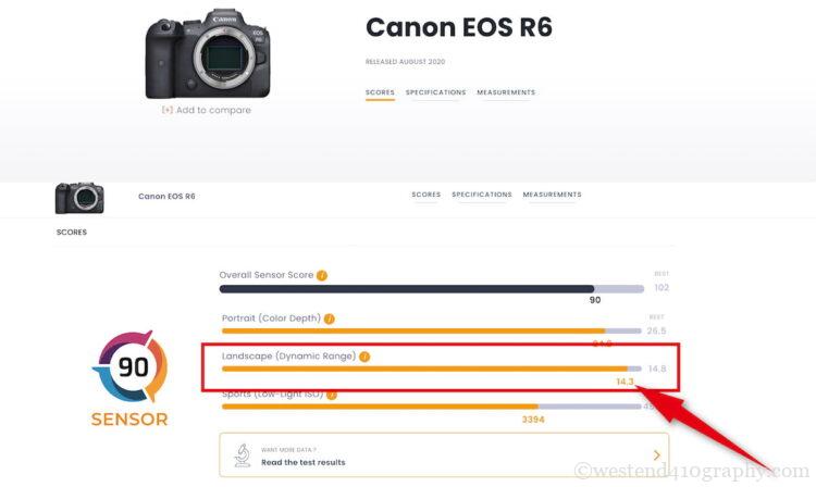カメラのダイナミックレンジを知れば写真の白とびや黒つぶれが理解できる！！